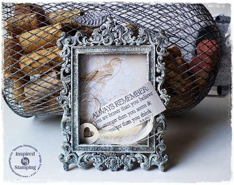 Ibs Frame Frame Ibs Projects