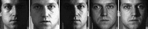 cmu pie face database download scientific diagram