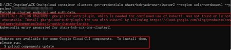 Manage Serverless Kubernetes Clusters In Alibaba Cloud ACK One Alibaba Cloud Community