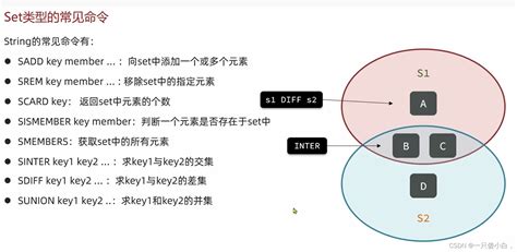 详细解读redis基本数据类型及使用 Csdn博客
