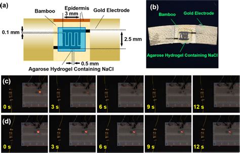 A Schematic And B Photograph Of Fabricated Supercapacitor C And