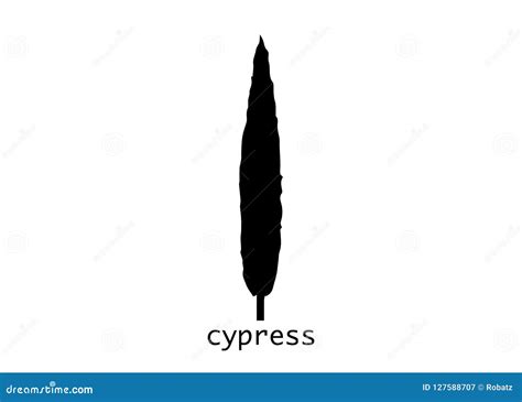 Cypress Icon Simple Illustration Of Cypress Vector Icon For Web Italian Silhouette Cypress