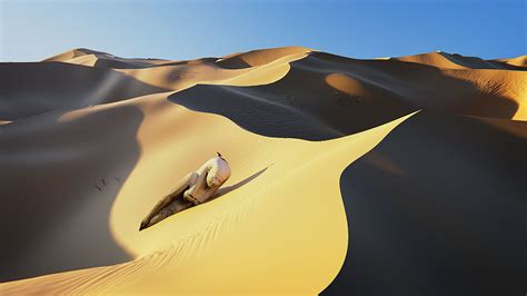 Procedural Sand Dunes Cg Cookie