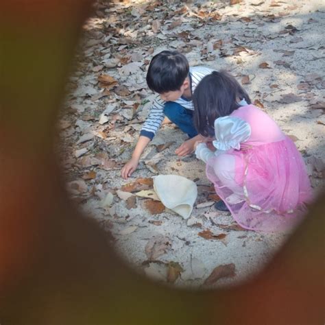 경기도 김포 세계문화유산 장릉 걷기좋은 숲길 가을날씨를 즐기다김포농업대축제까지~ 사우문화체육광장 네이버 블로그