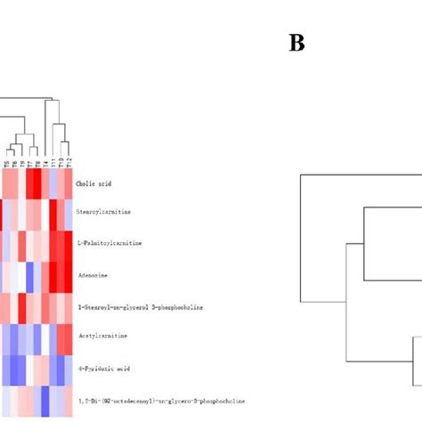 Unsupervised Hierarchical Clustering Heat Map Of Metabolites Obtained Download Scientific