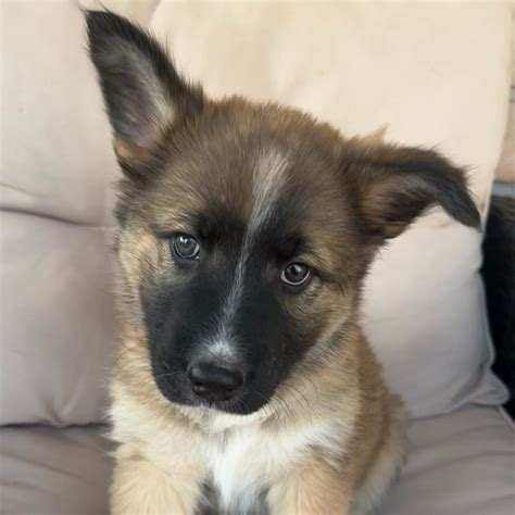 Vba Is There A Way To Create A Macro That Converts These Hyperlinks