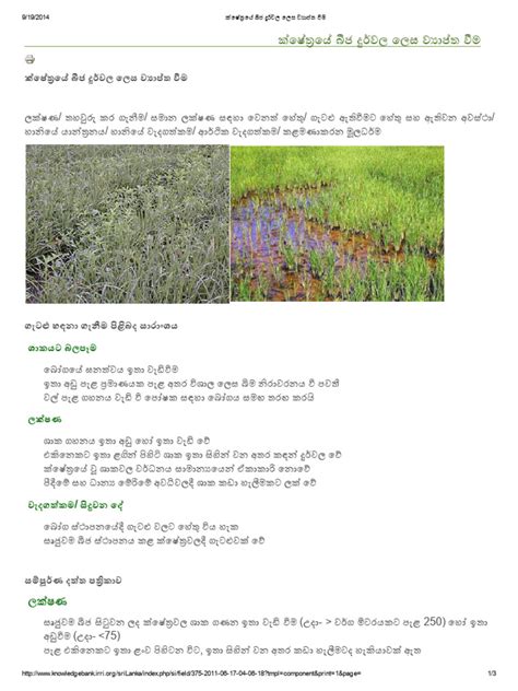 ක්ෂේත්‍රයේ බීජ දුර්වල ලෙස ව්‍යාප්ත වීම Pdf