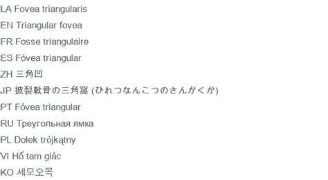 Triangular Fovea E Anatomy Imaios