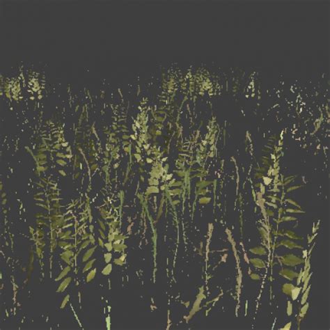 Grasspackbig Herbs Biology Various Models Source Warehouse