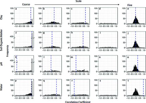 Frequency Distribution Of Scale Dependent Correlation Coefficients