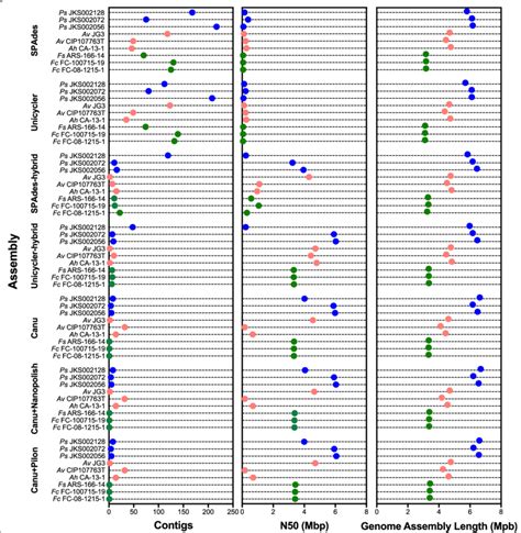 Minion Reads Improve Assembly Contiguity The Number Of Contigs Left Download Scientific