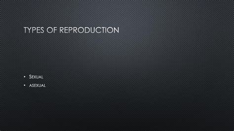 Reproductive System Ppt Download