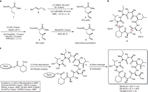 Expeditious Synthesis Of Dhml Ternatin 4 And A3 Epimers A Scheme For