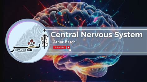 Anatomy Lec3 B Youtube