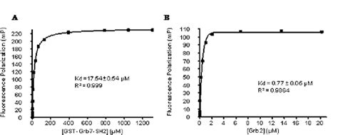 Figure 2 From Development Of Binding Assays For The Sh2 Domain Of Grb7 And Grb2 Using