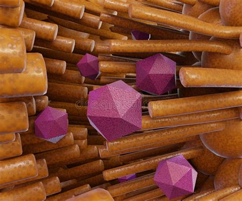 Lipid Bilayer Encapsulation Stock Illustrations 154 Lipid Bilayer