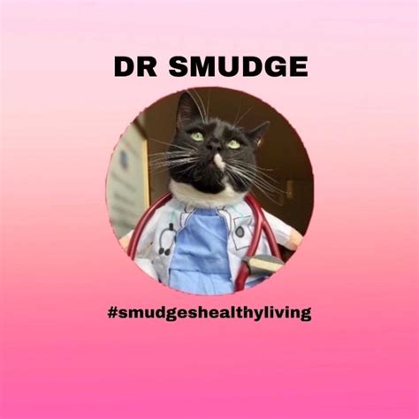 Topic Feline Asthma Dixys