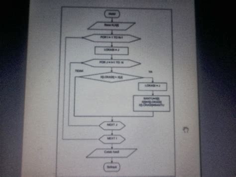 Life Science Flowchart Algoritma Mengurutkan Bilangan Acak