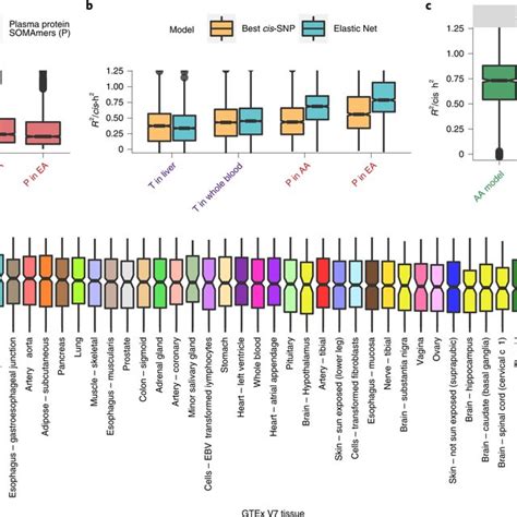 Cis H² And Evaluation Of Models For Genetic Prediction Of Download