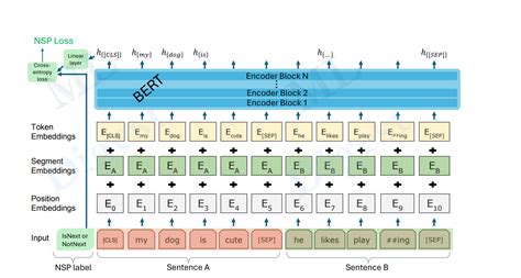 BERT Explained A Simple Guide ML Digest