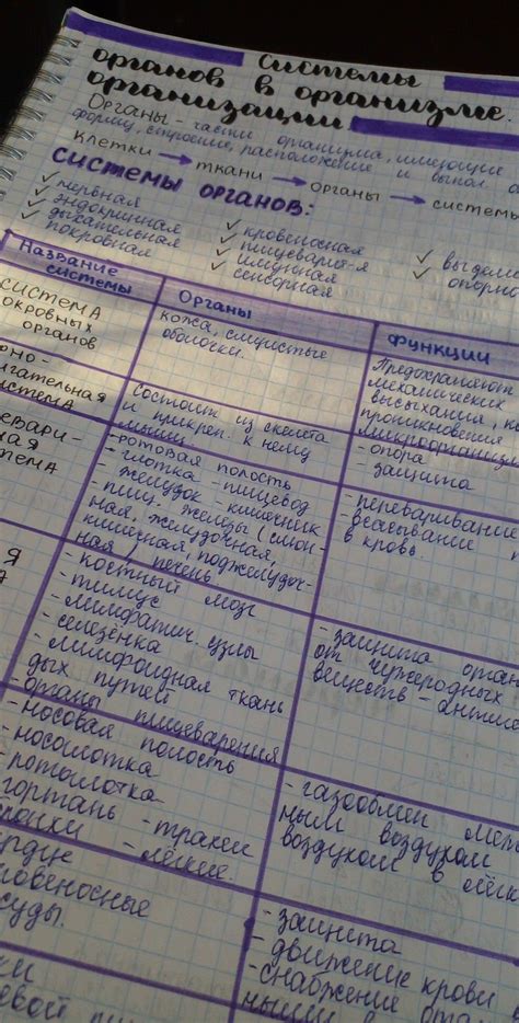 Уроки письма планировщик обучения