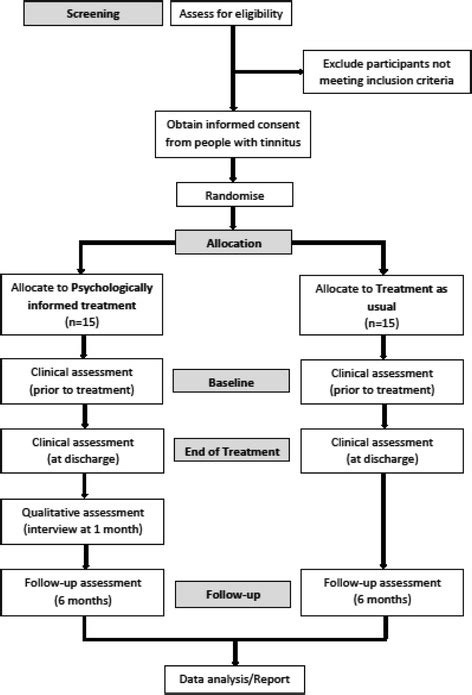 A Psychologically Informed Audiologist Delivered Manualised Intervention For Tinnitus