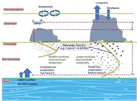 Schematic Showing Rain From A Cumulus Topped Boundary Layer With The