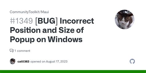 Bug Incorrect Position And Size Of Popup On Windows · Issue 1349