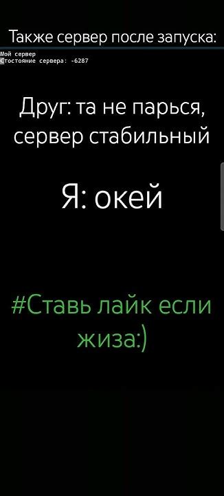 Стандарт любого сервера memes python мемы пайтон youtube