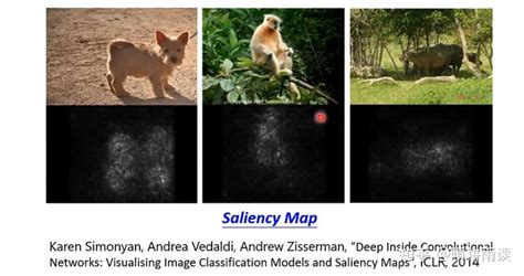 揭示深度学习可解释性的几种方法 知乎