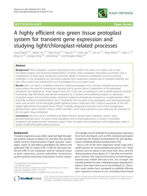 Pdf A Highly Efficient Rice Green Tissue Protoplast System For Transient Gene Expression And