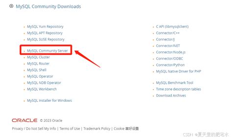 Mysql下载教程——保姆级mysql下载保姆级教程 Csdn博客