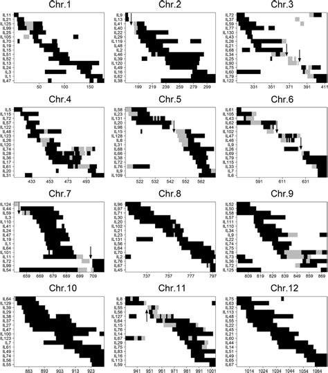 Introgression Of Chromosomal Segments From An Annual Wild Rice