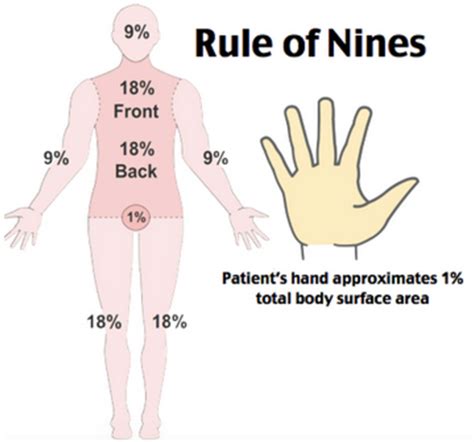 Multisystem Trauma Flashcards Quizlet