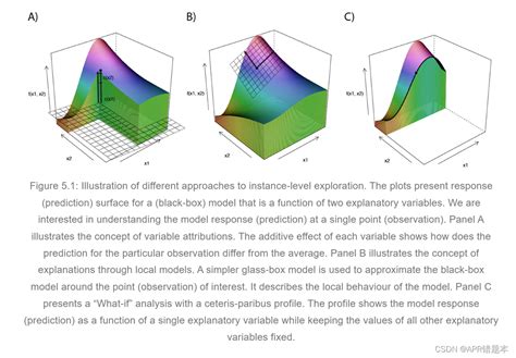 机器学习解释（1）dalex包，instance Level迁移学习中instance Level什么意思 Csdn博客
