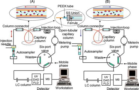 Online Automated Micro Sample Preparation For High Performance Liquid Chromatography IntechOpen