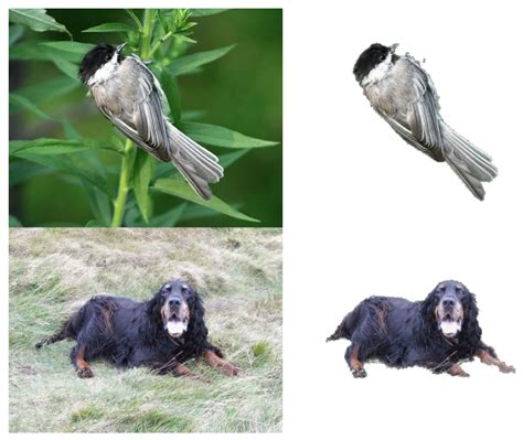 A Fusion Model For Saliency Detection Based On Semantic Soft Segmentation