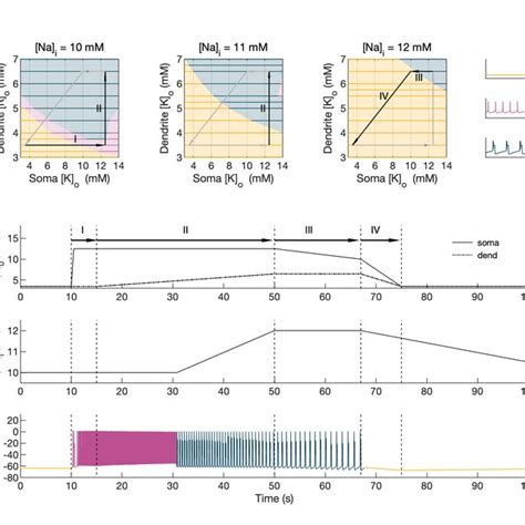 A Bifurcation Diagram Of The Model In The Bifurcation Analysis Download Scientific Diagram