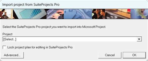 Netsuite Applications Suite Importing A Project Plan From Suiteprojects Pro Into Microsoft Project