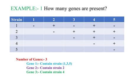 Complementation Test Pptx Genetics Science