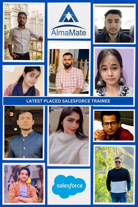 Almamate Info Tech Posted On Linkedin