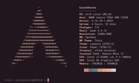 linux 上炫酷的终端工具“已死”，项目开发者将github存储库归档，只留一句：我去种地了！ neofetch和screenfetch区别