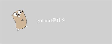 Goland是什么 Golang Php中文网