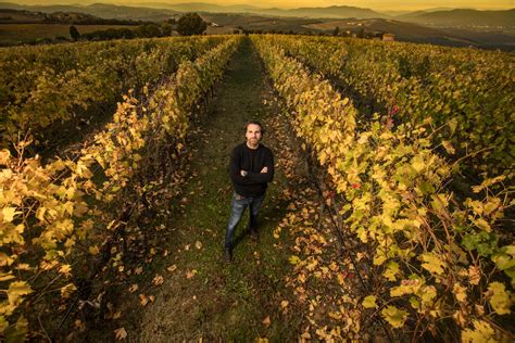 Federico Cerelli Italian 6 Pack Winespark