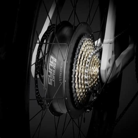 Unterwegs Mit Bis Zu 45 Kmh Auf Einem S Pedelec Von Stromer And Bikesterch