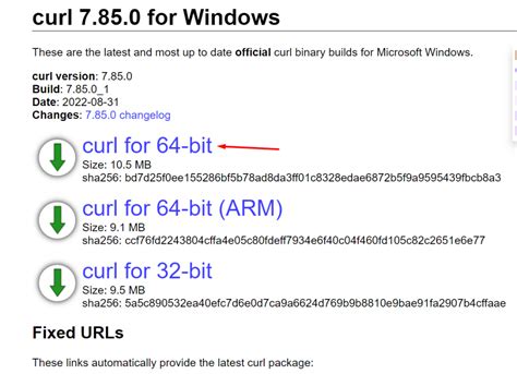 Using Curl In Windows