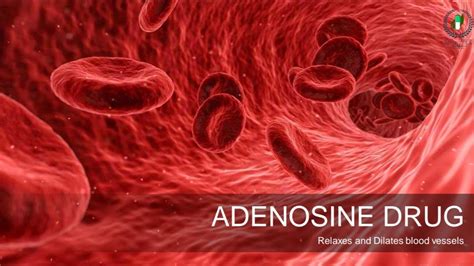 Adenosine Drug Adenoscan Adenocard Uses Availability Dose Adverse Effects Youtube