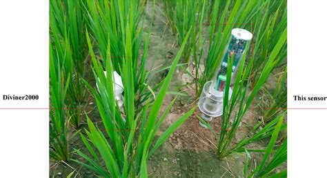 Table From Design And Test Of A Soil Profile Moisture Sensor Based On Sensitive Soil Layers