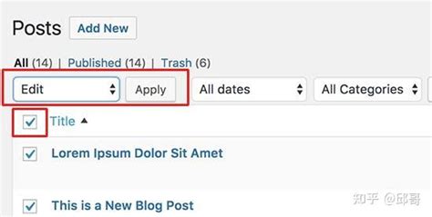 如何从 Wordpress 帖子中删除作者姓名（2 种简单方法） 知乎