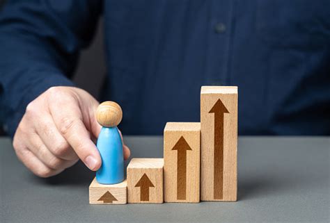 커리어를 시작하세요 높이에 도달하십시오 경력 성공 교육 및 새로운 기술 학습 높은 수준의 성취 인정에 도달합니다 그들은 노치를 채웁니다 다음 단계로 이동합니다 Next